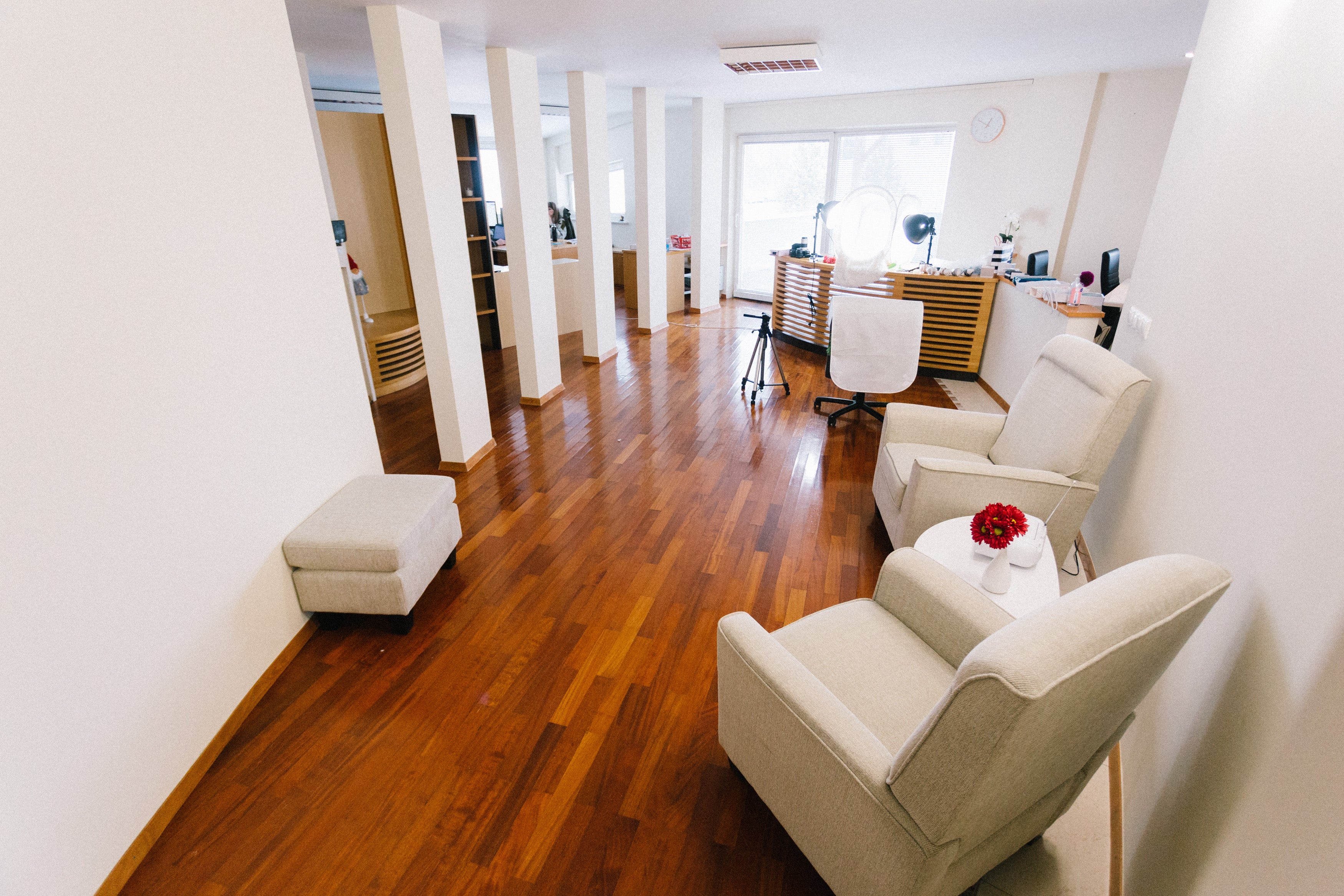 ŽIRAFA SE ŠIRI – zirafa